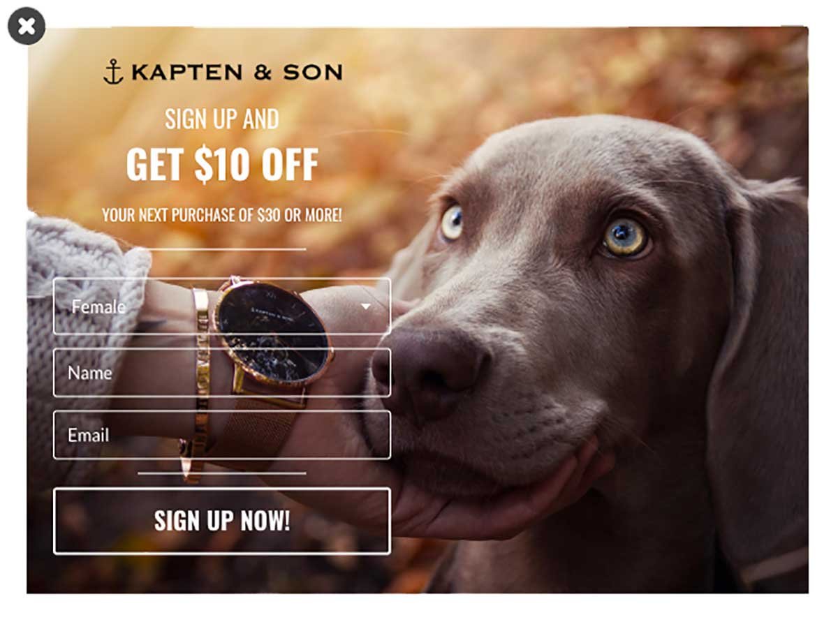 29 Persuasive Power Words That Sell (With Real Life Examples)