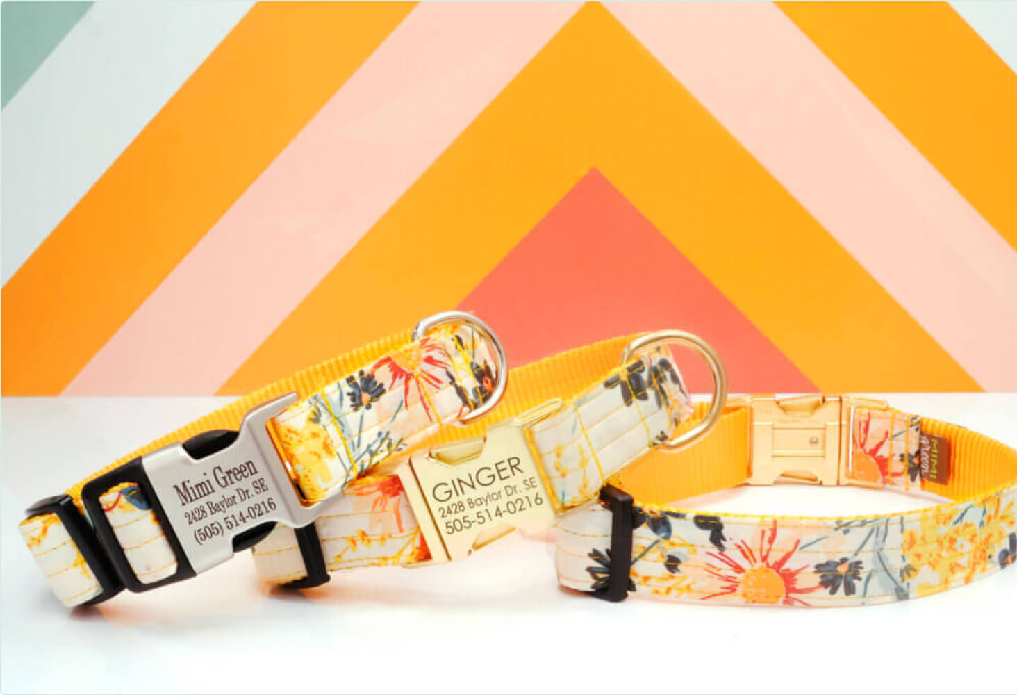 Good design, templates & workflows drew Mimi Green to Drip.