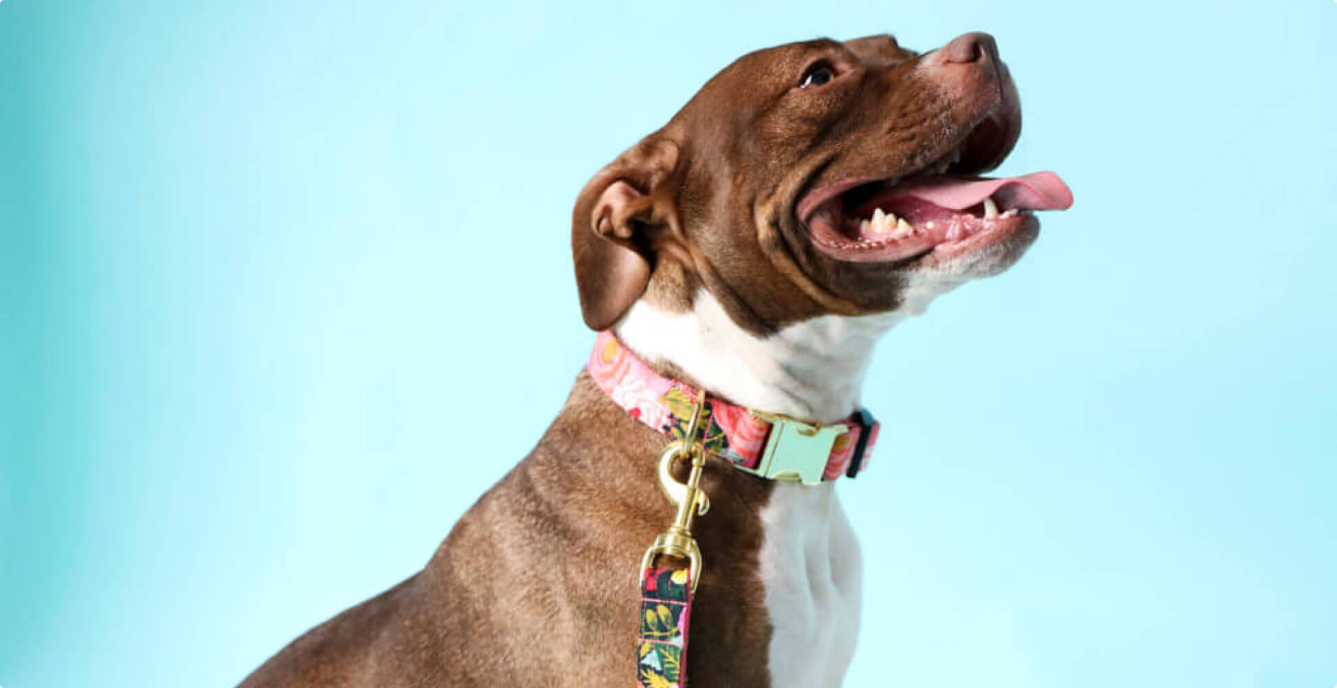 Good design, templates & workflows drew Mimi Green to Drip.