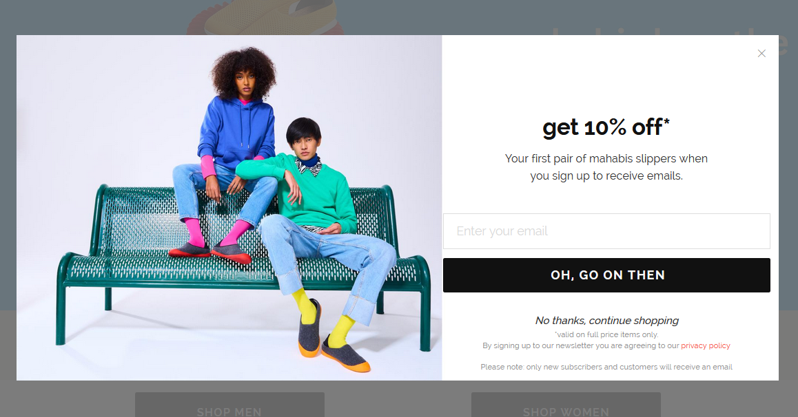 The 11 Best Ecommerce Homepage Examples [That Nail User Experience]